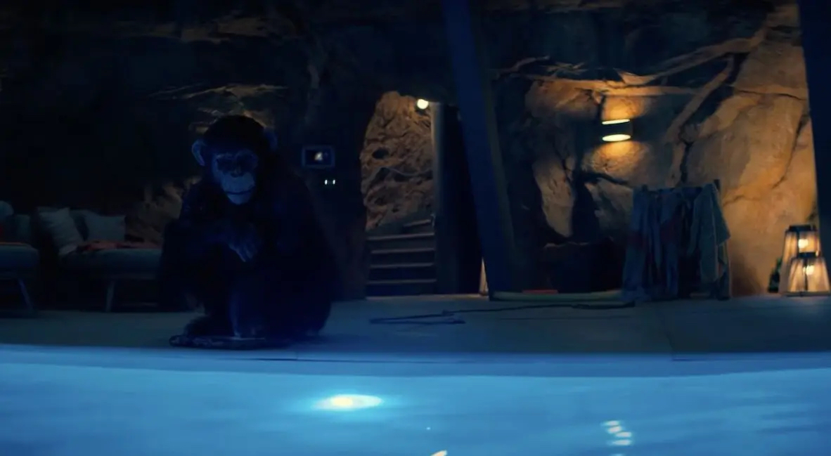 Primate – Read @ Joe’s